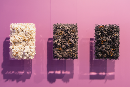A CONTEMPORARY ART BOOM IN ISTANBUL • SELECTIONS ARTS MAGAZINE