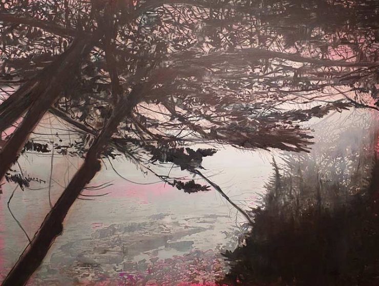 EXTREMISMOS. THE LIMITS OF THE CHILEAN LANDSCAPE • SELECTIONS ARTS MAGAZINE